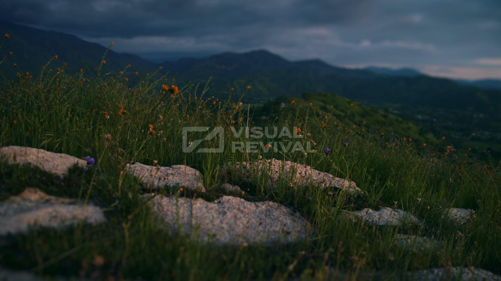 Redemption Hills Still 17 | Visual Revival