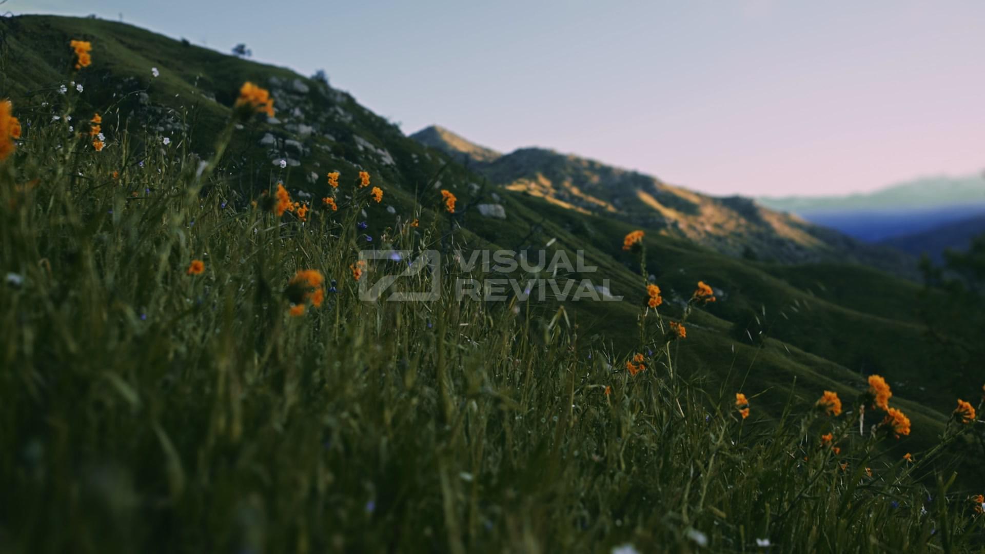 Redemption Hills Still 18 | Visual Revival