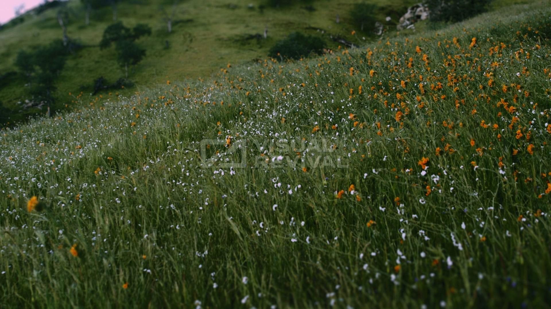 Redemption Hills Still 20 | Visual Revival