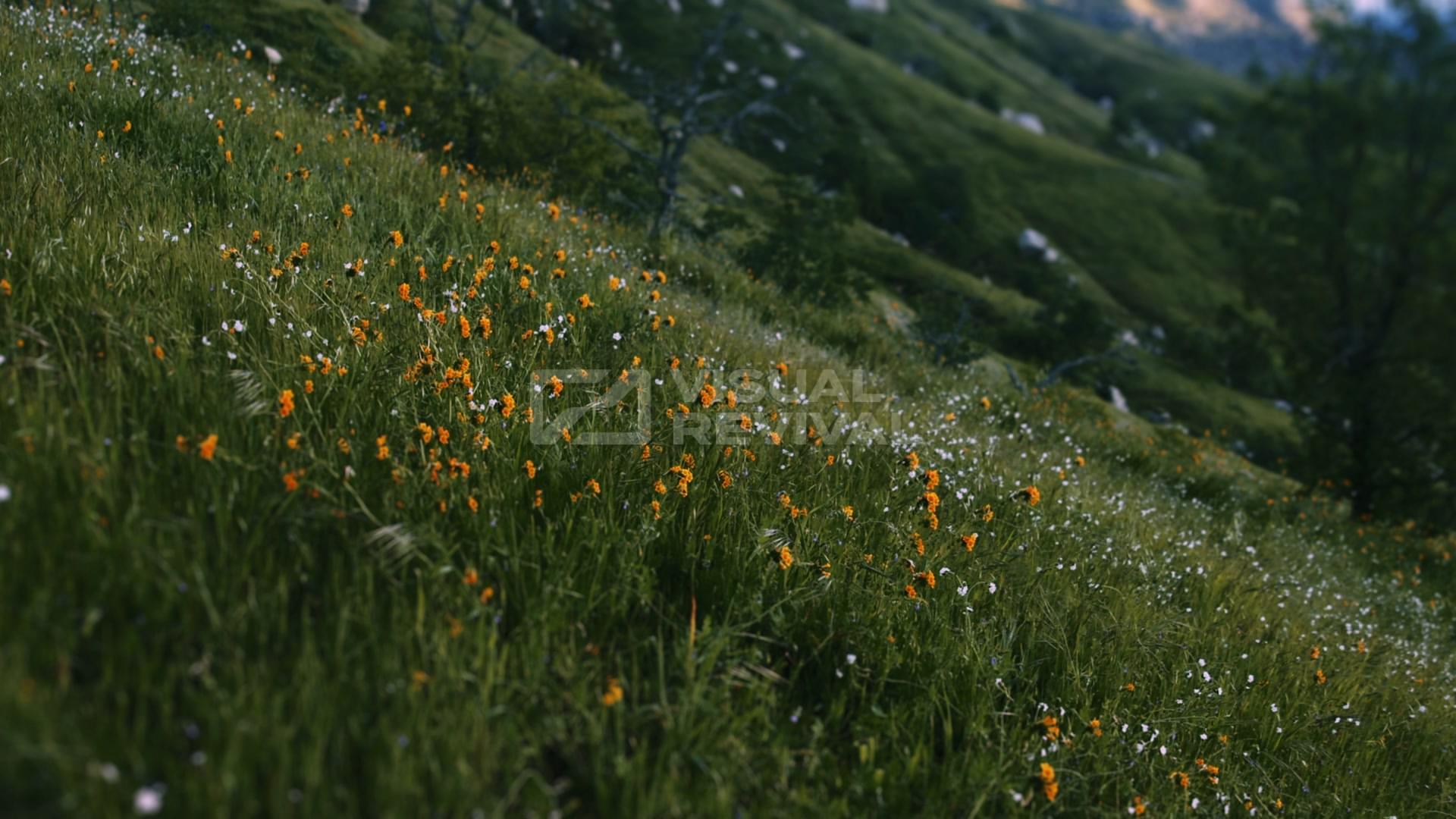 Redemption Hills Still 21 | Visual Revival