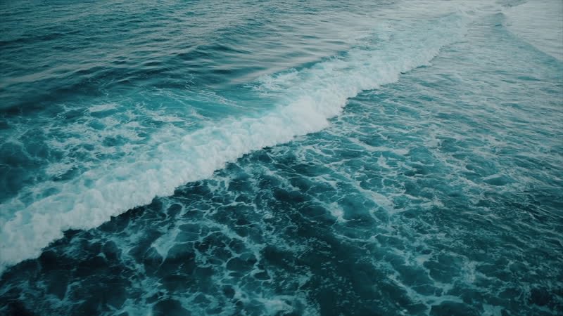 Tidal | Visual Revival