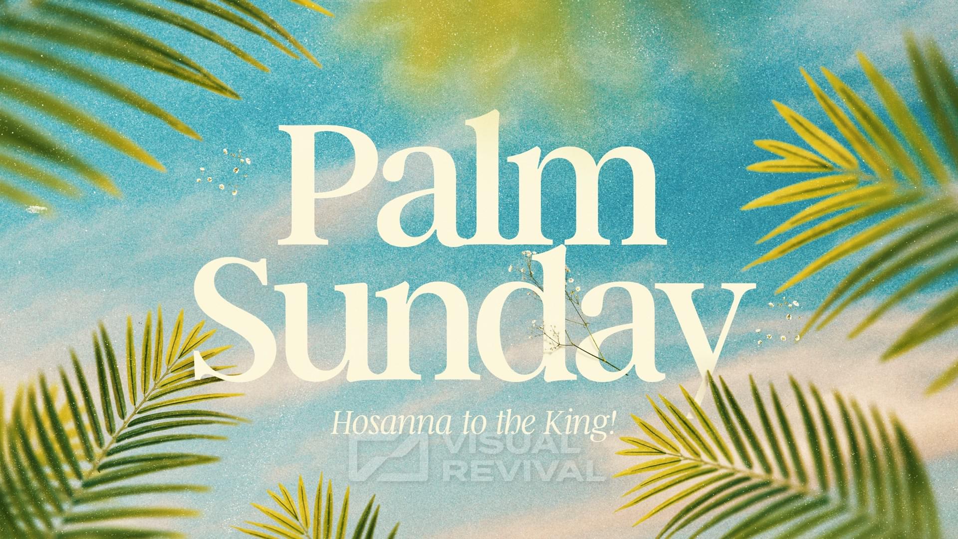 Palm Sunday Ministry Graphic | Visual Revival